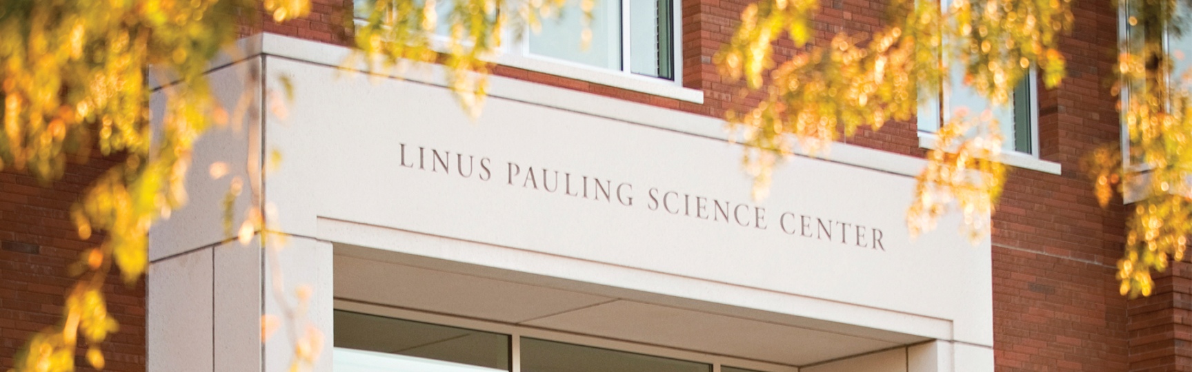 Linus Pauling Institute Endowed Chair And Director